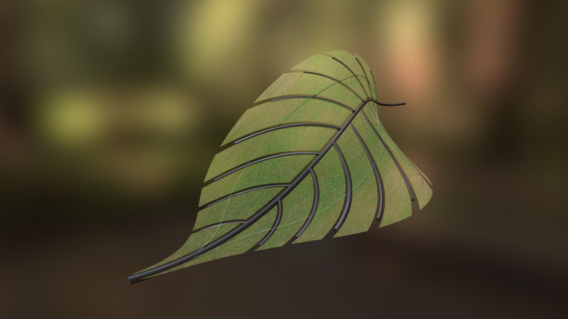 Leaf - 3D model by kyrreand [f561a2f] - Sketchfab