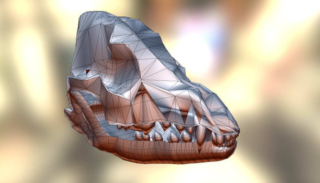 Dog Skull - 3D model by MySlap [f567dfa] - Sketchfab