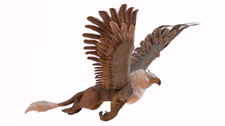 Griffin 3D models - Sketchfab