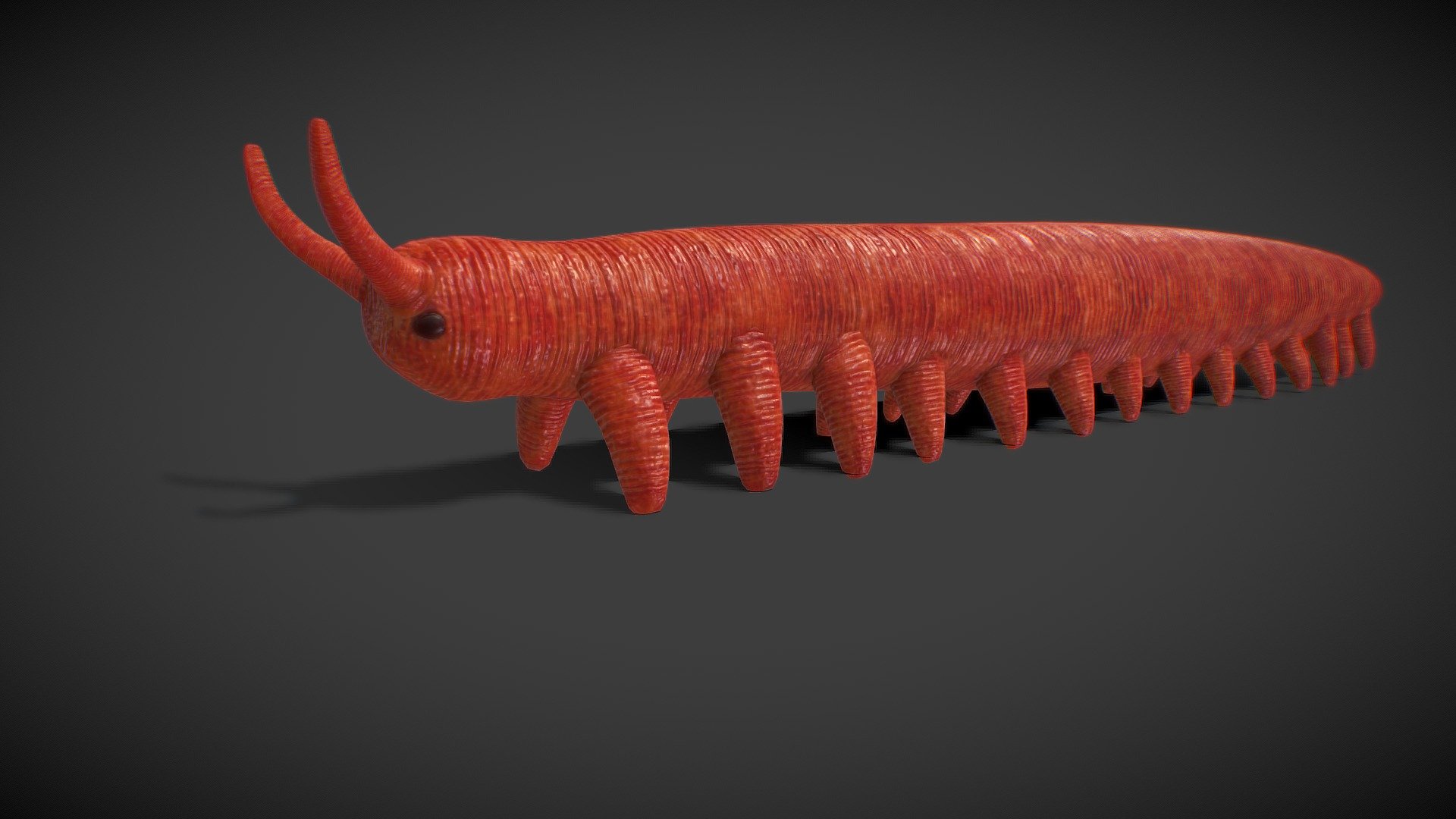Peripatus - Buy Royalty Free 3D model by Deepak_Sharma [f57315b ...