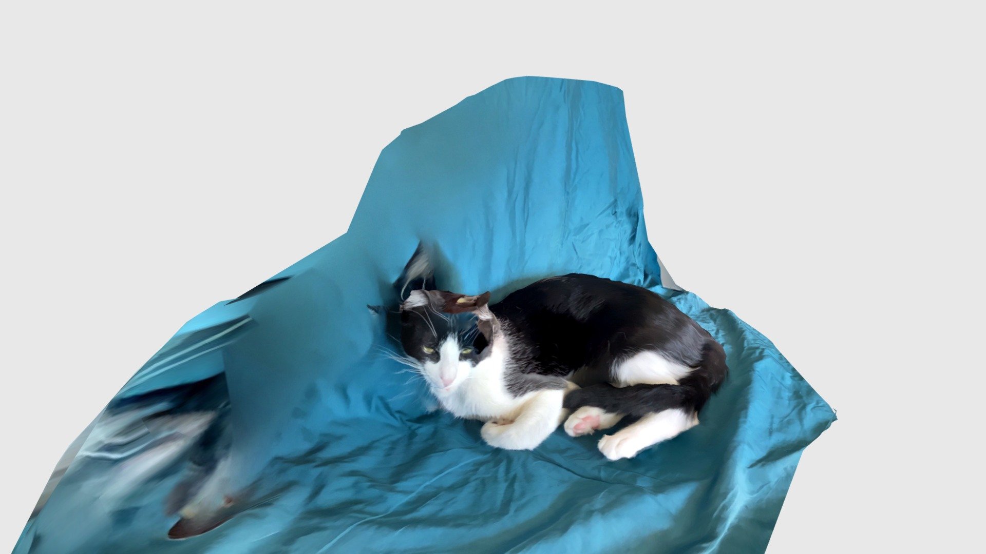 Todd - Download Free 3D model by allison.q.byrne [f57402e] - Sketchfab