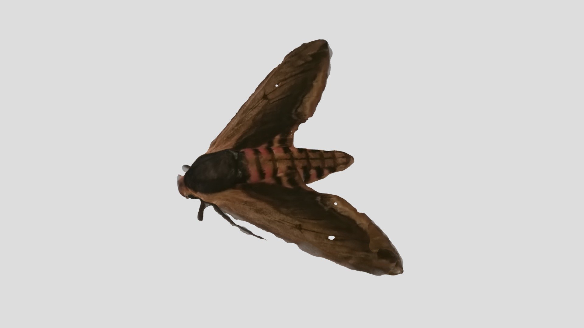 Szender Video 2_simplified_3d_mesh - 3D model by daniel.dancsa [f5788b6 ...