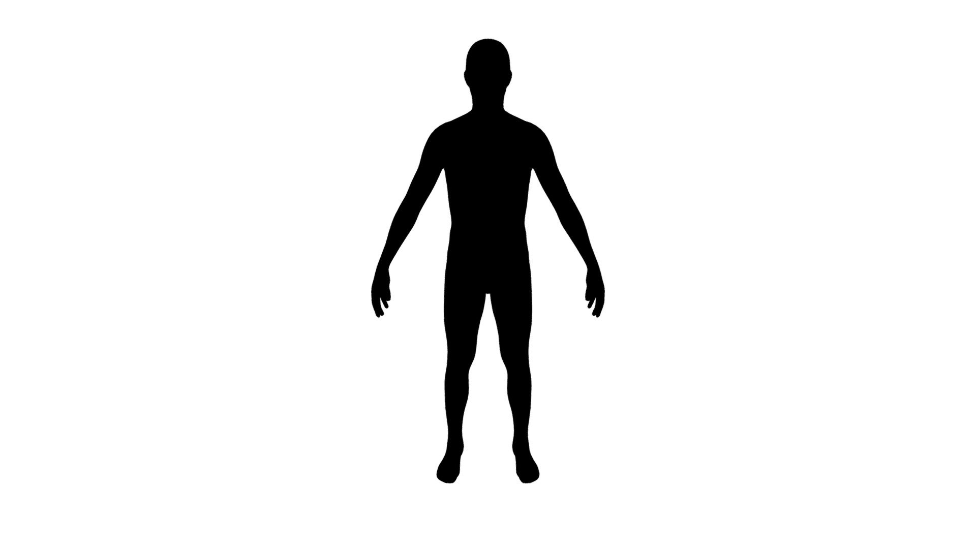 human-modeluntextured - 3D model by tjoc_dev [f58c2f0] - Sketchfab