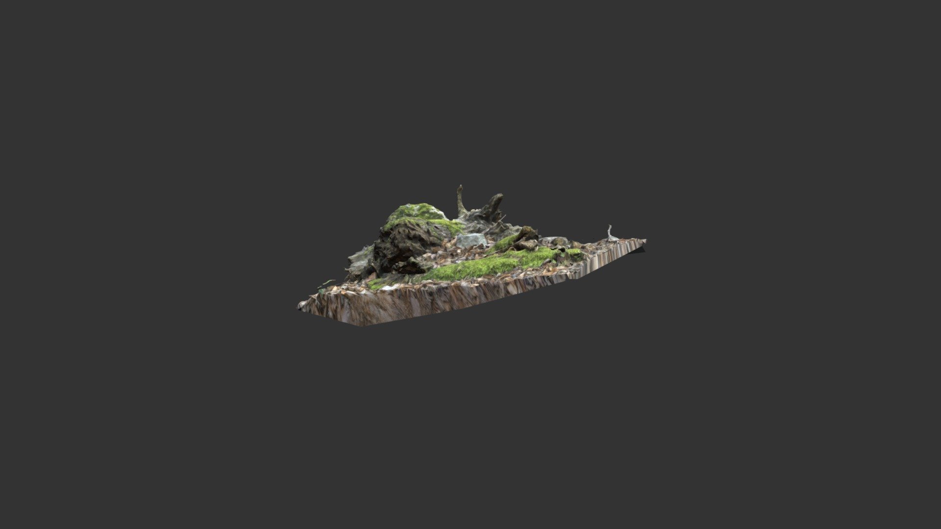 Tree Stomp 001 - 3D model by Patrick Tilp (@ptilp) [f5a26f8] - Sketchfab