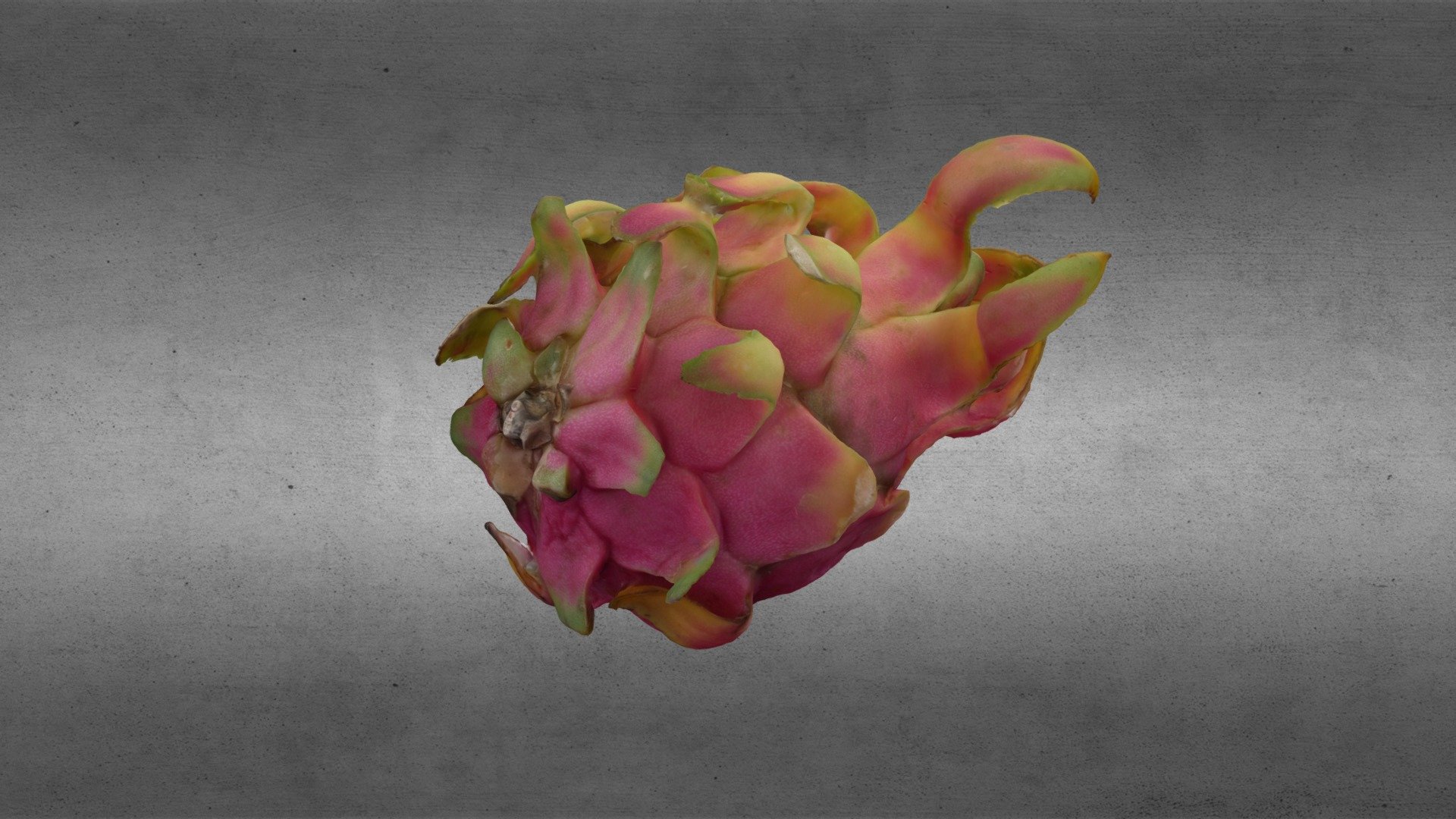 ES2802 - Final Project : DRAGON FRUIT - 3D model by val.zer [f5a42ce ...
