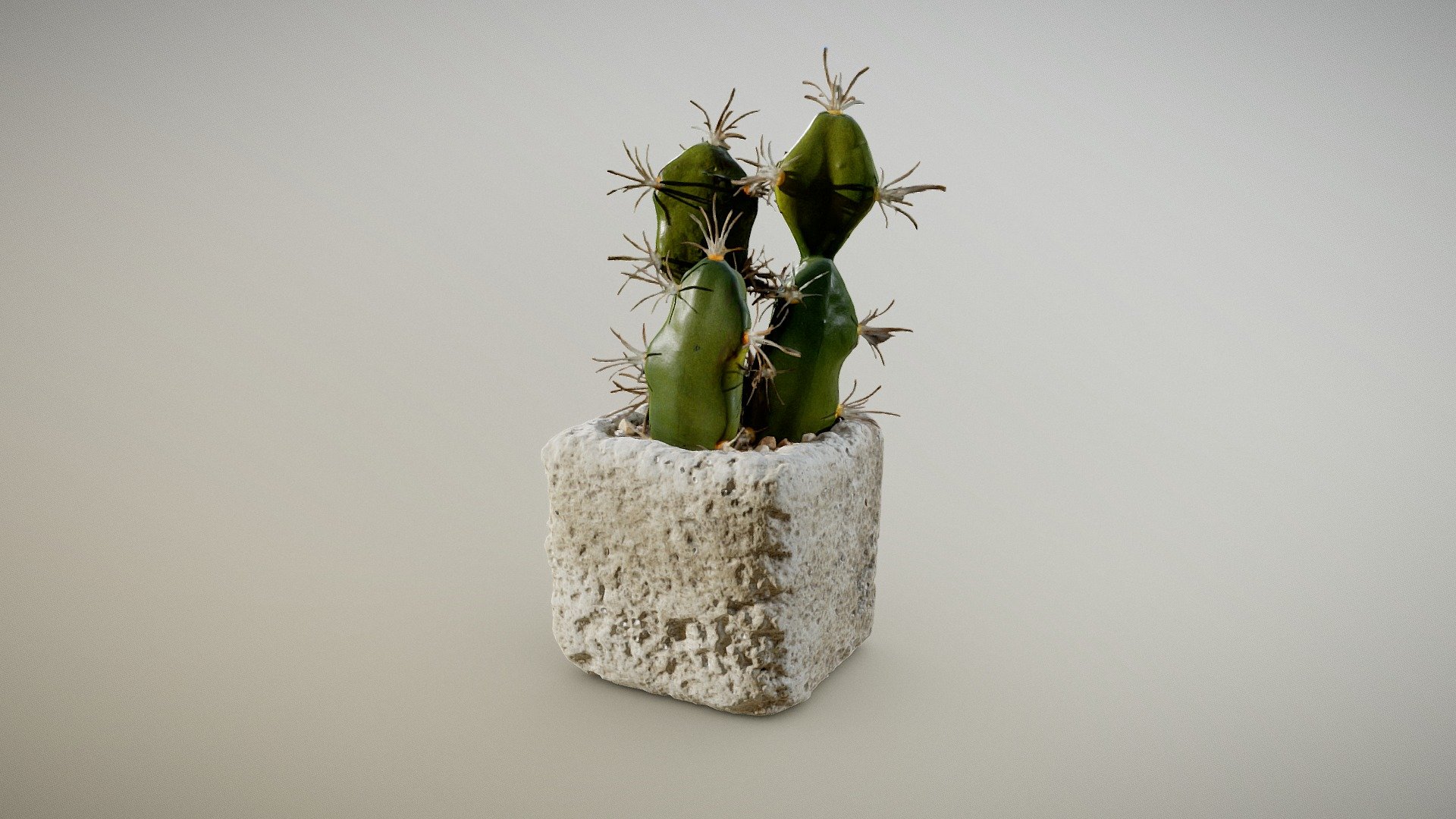 Mini Cactus Pot - Buy Royalty Free 3D model by inciprocal (@inciprocal ...