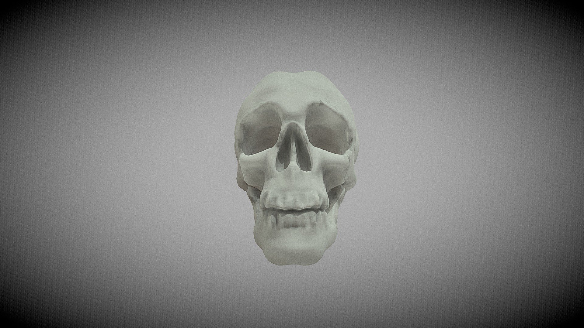 Free Skull - Download Free 3D model by fieldworks [f5a6dc9] - Sketchfab