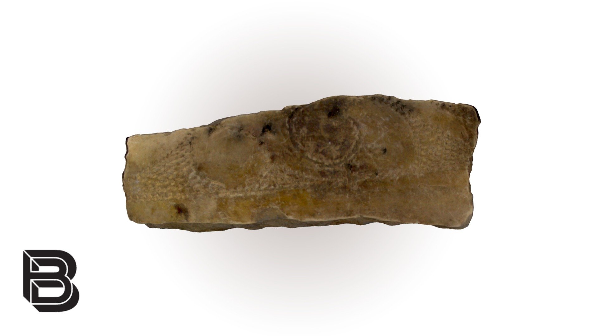 Pottery Sherd - Punctate - 3D model by The Bishop Museum of Science and ...