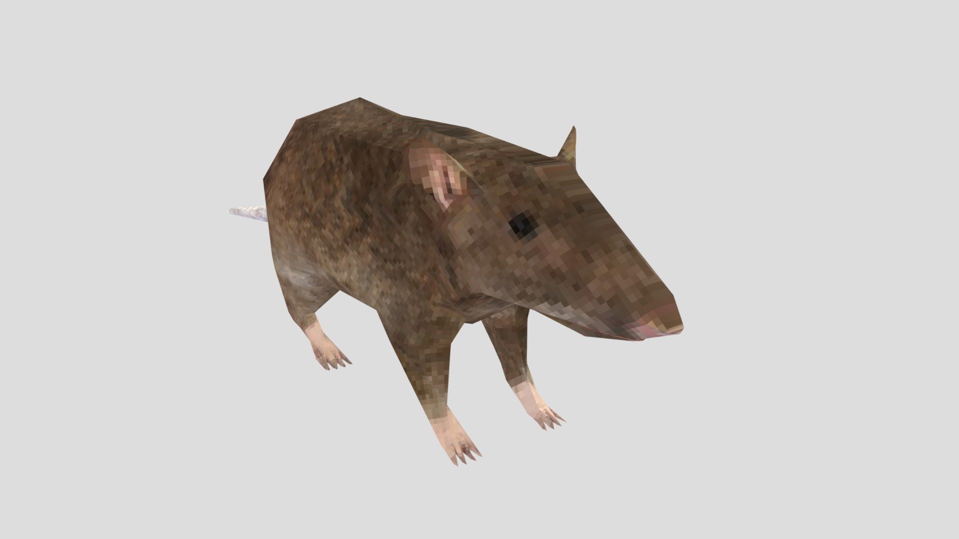 rat - Download Free 3D model by U.A.C.WAD (@hilalarican23) [f5b194b ...