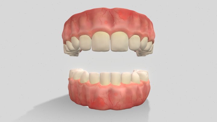 Mouth 3D models - Sketchfab