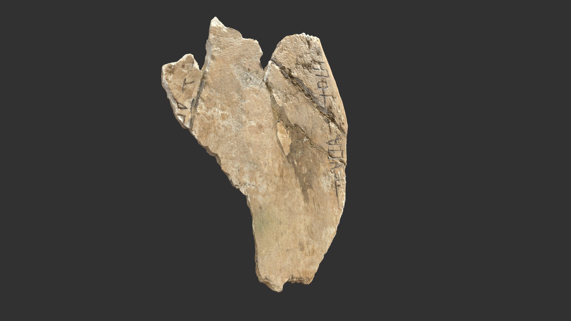 Chinese Oracle Bones, MS-CHI-BONES-CUL-00021 - 3D model by Cambridge ...