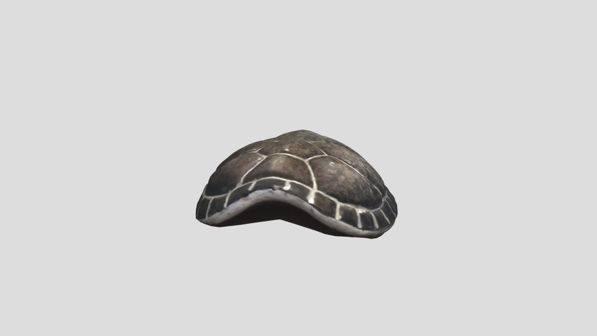 HQ Turtle Shell - Download Free 3D model by CookieMnster187 [f5b8242 ...