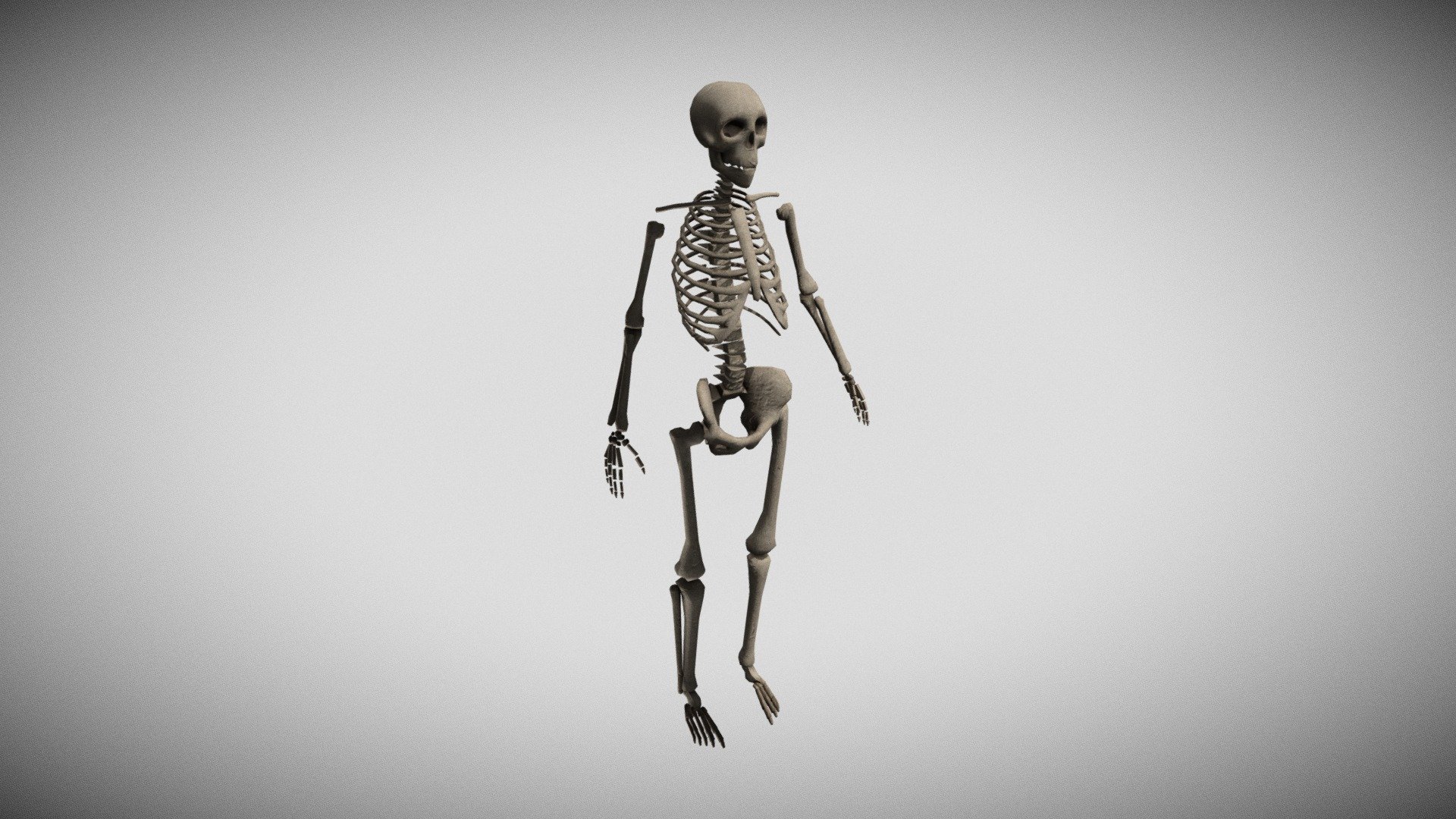 Skeleton - Download Free 3D model by Mic (@miqa_silveray.-) [f5b8828 ...