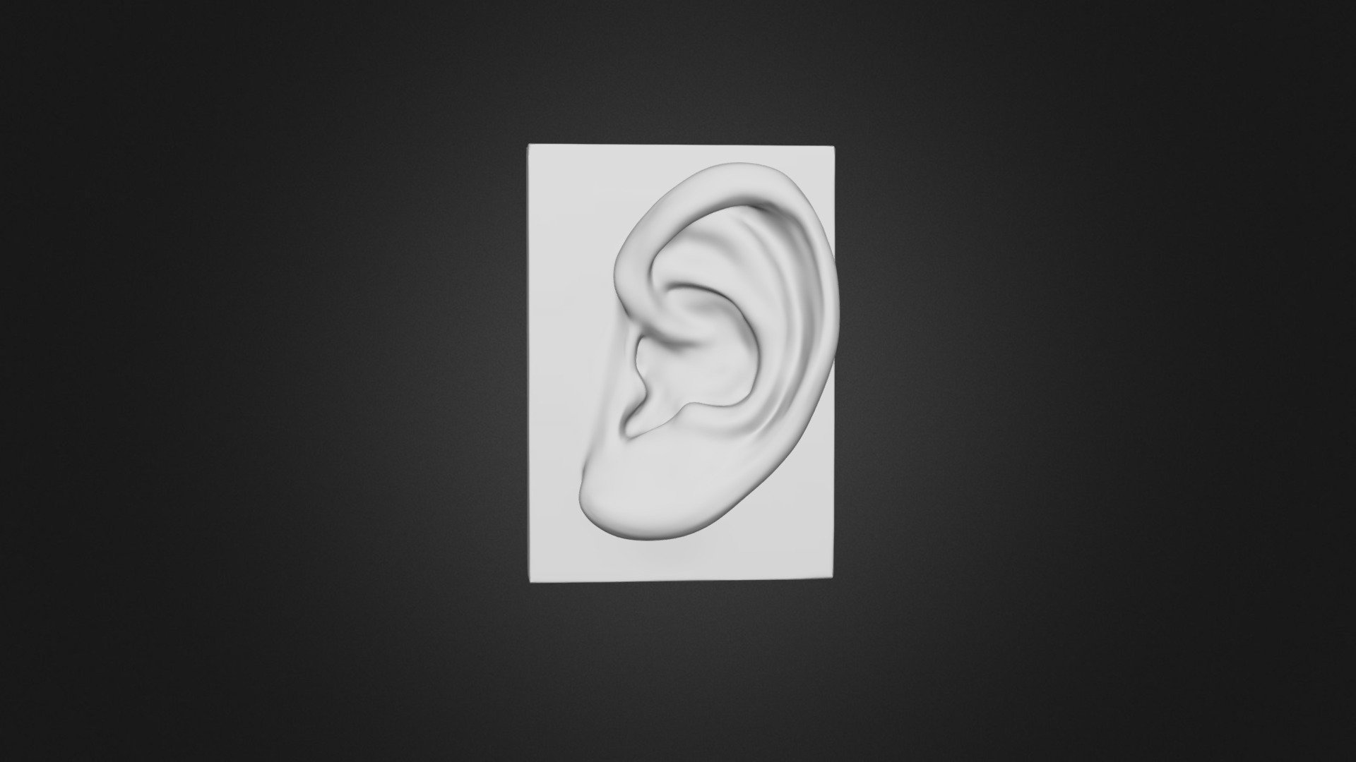 Ear - Download Free 3D model by tracyn198 [f5c0c0d] - Sketchfab