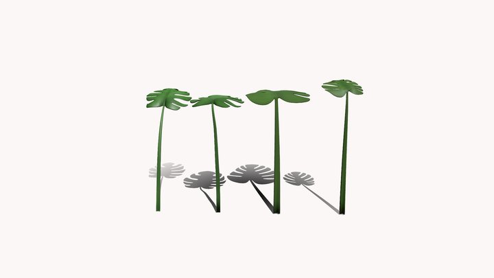 Monstera 3D models - Sketchfab