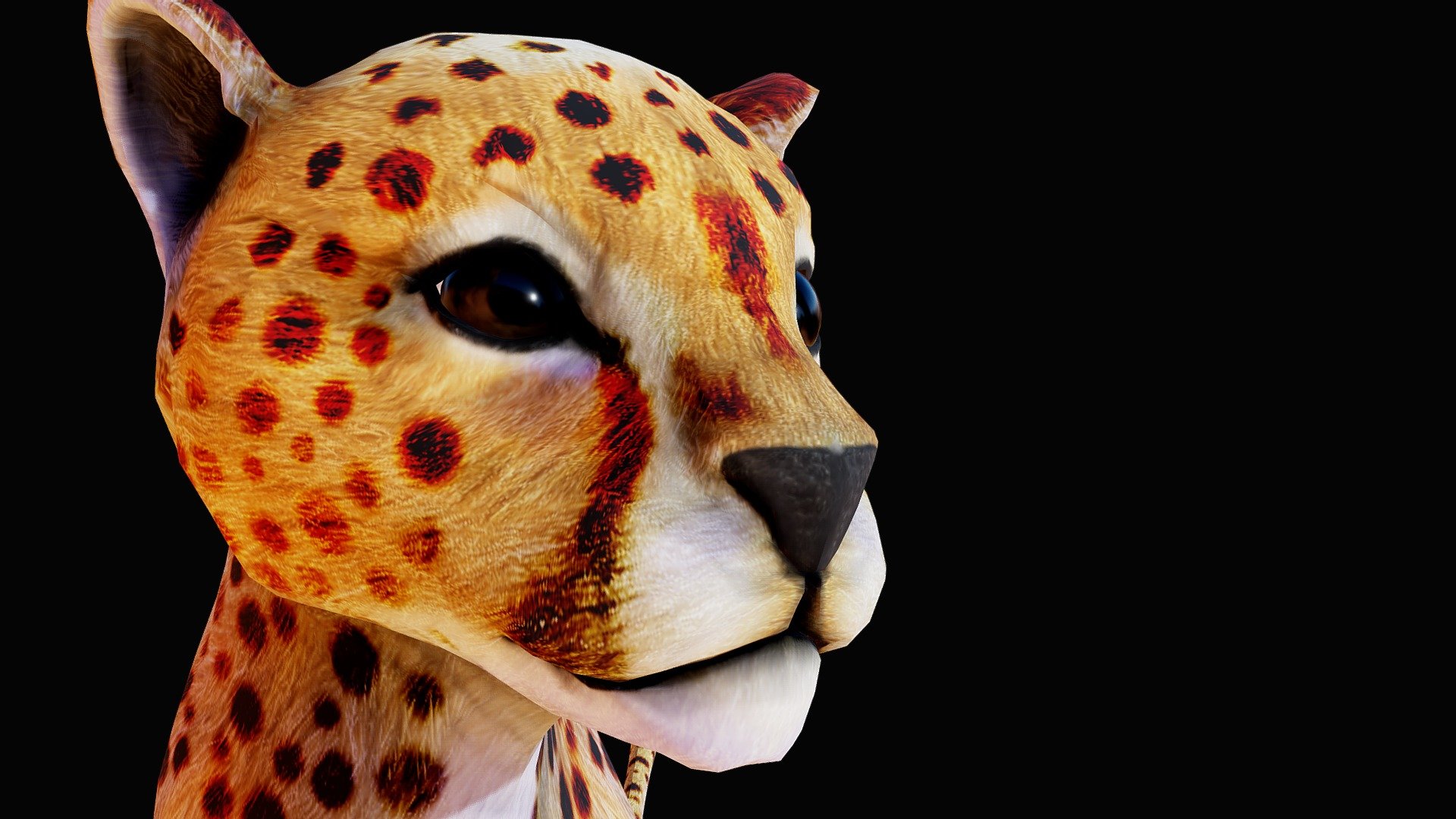 Cheetah Posed - 3D model by Ian Hampton (@Ian.Hampton) [f5ca55c ...