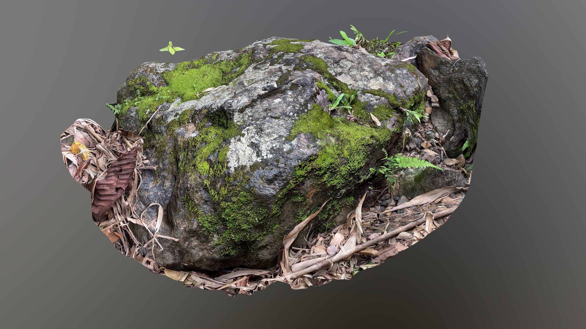 Waterfall Rock 6 (Scaniverse) - Download Free 3D model by JFN (@db4 ...
