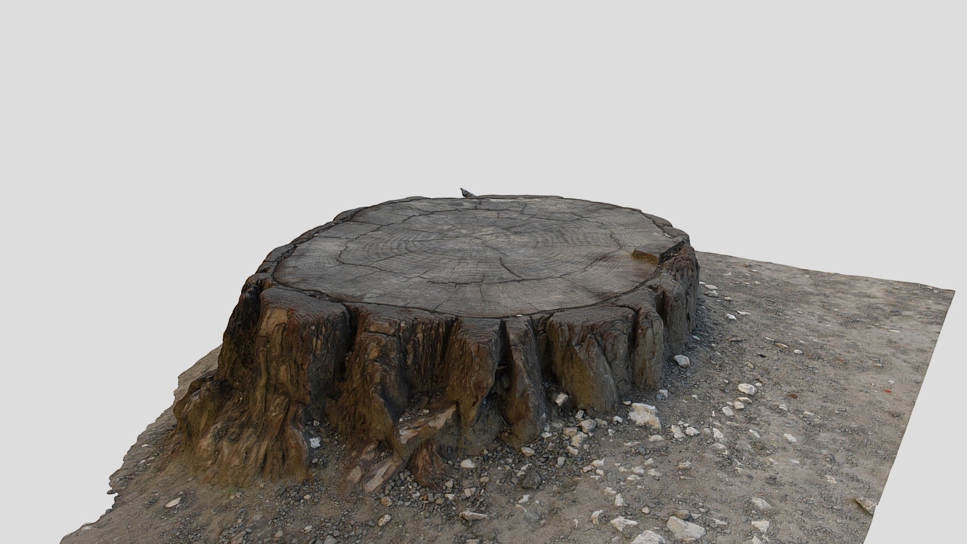 Stump 3 - Download Free 3D model by sv.stats [f5e484d] - Sketchfab
