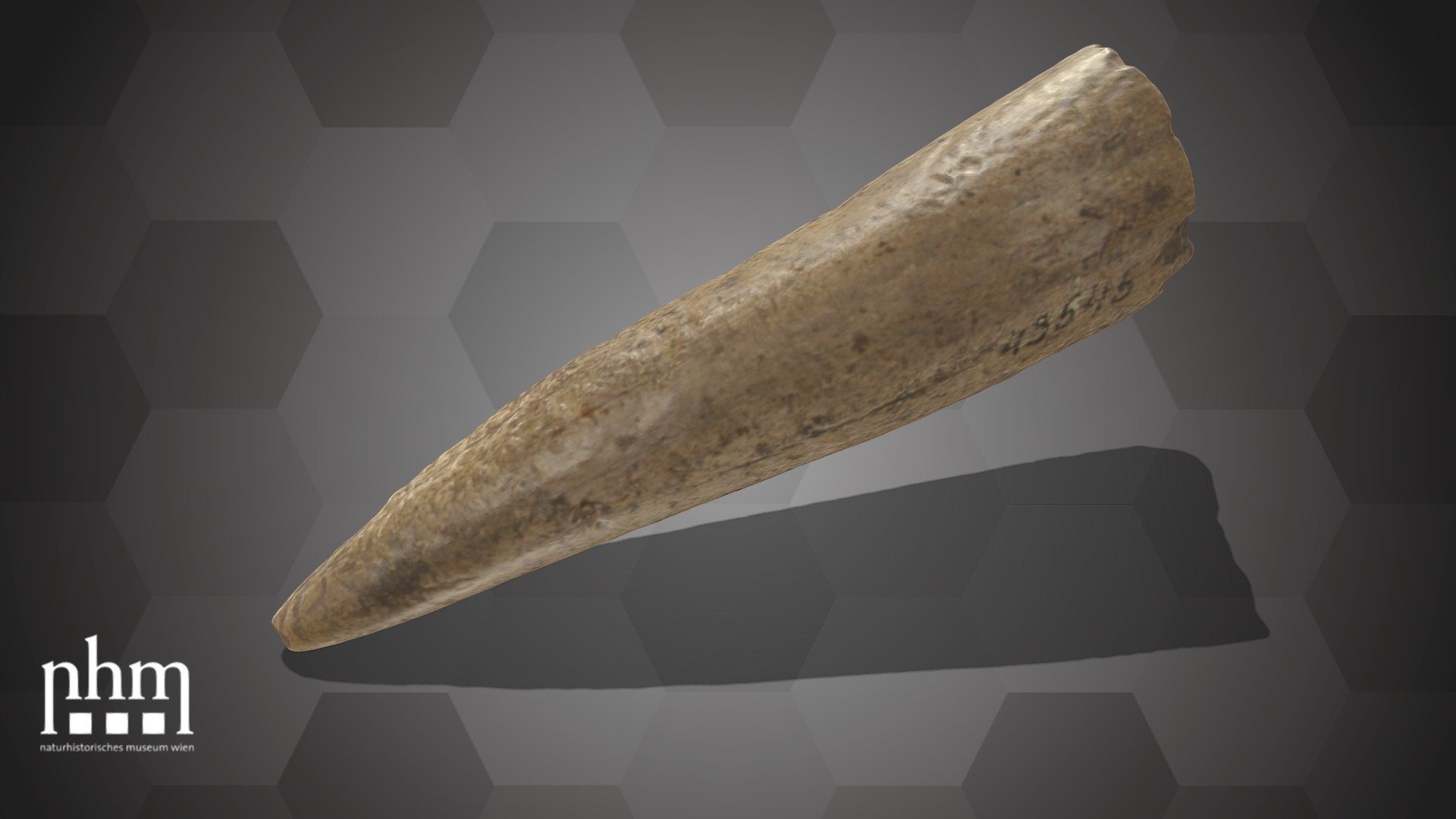 Bone point fragment (NHMW-Prae 49.545) - Download Free 3D model by ...