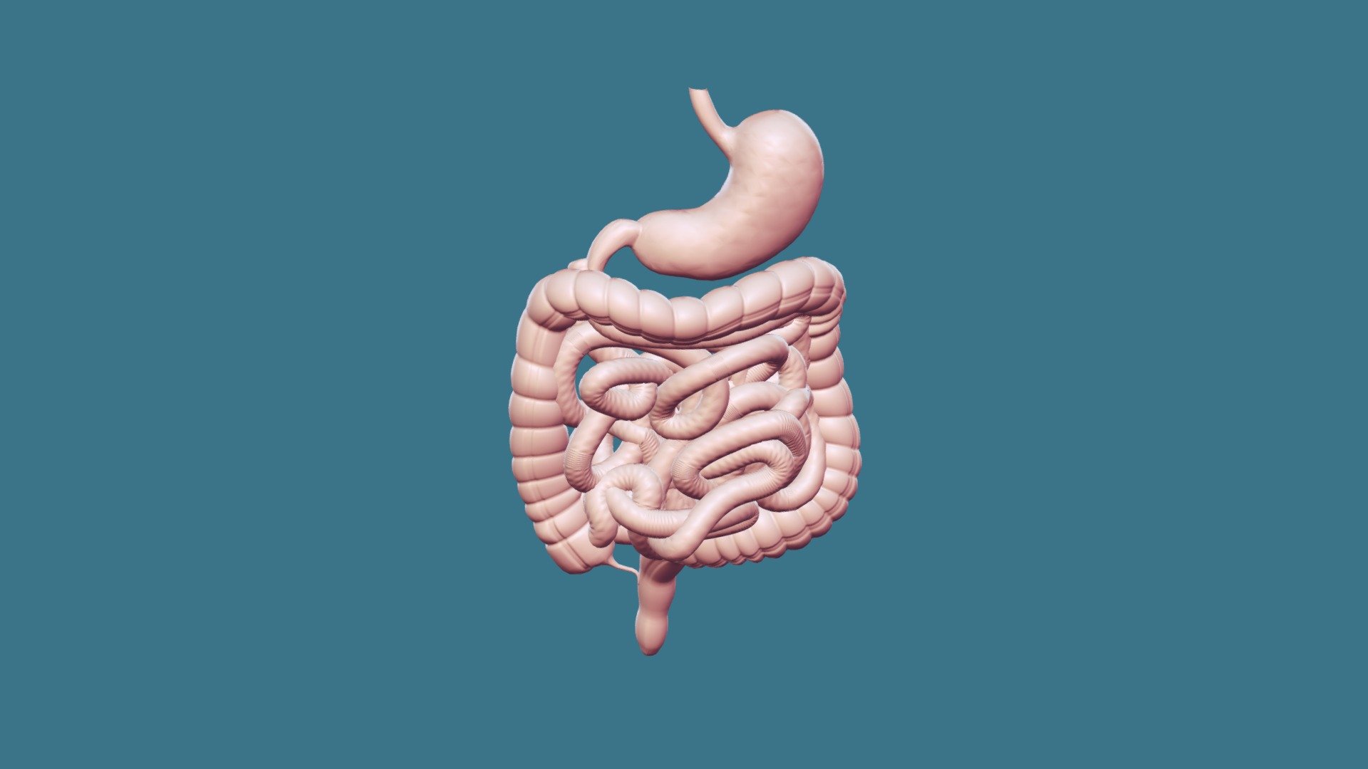 DEGEST NO CURVE - 3D model by hxw [f5f5742] - Sketchfab