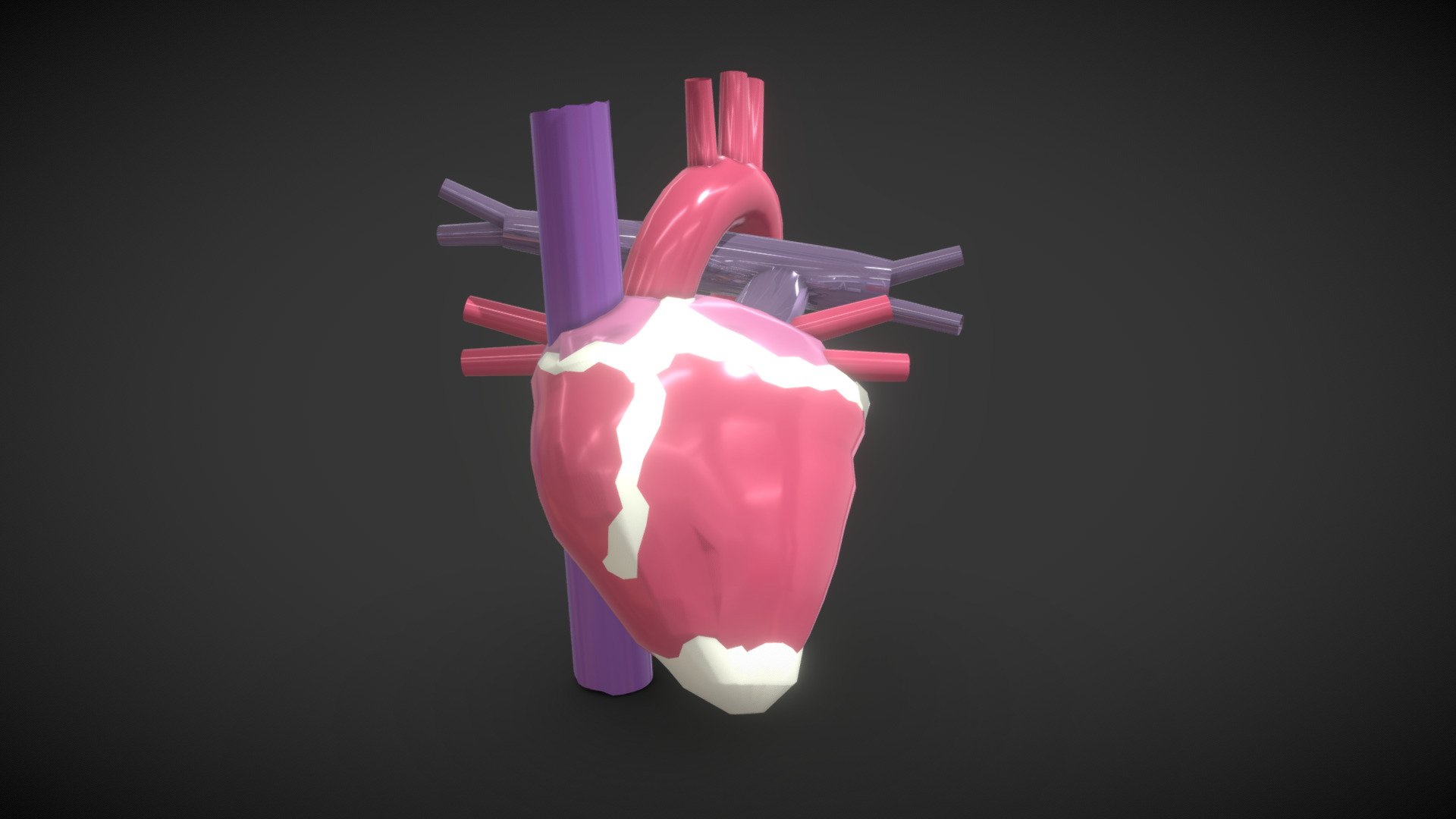 Human Heart - Download Free 3D model by 3D EduTex (@Yasama) [f5fa1e7 ...