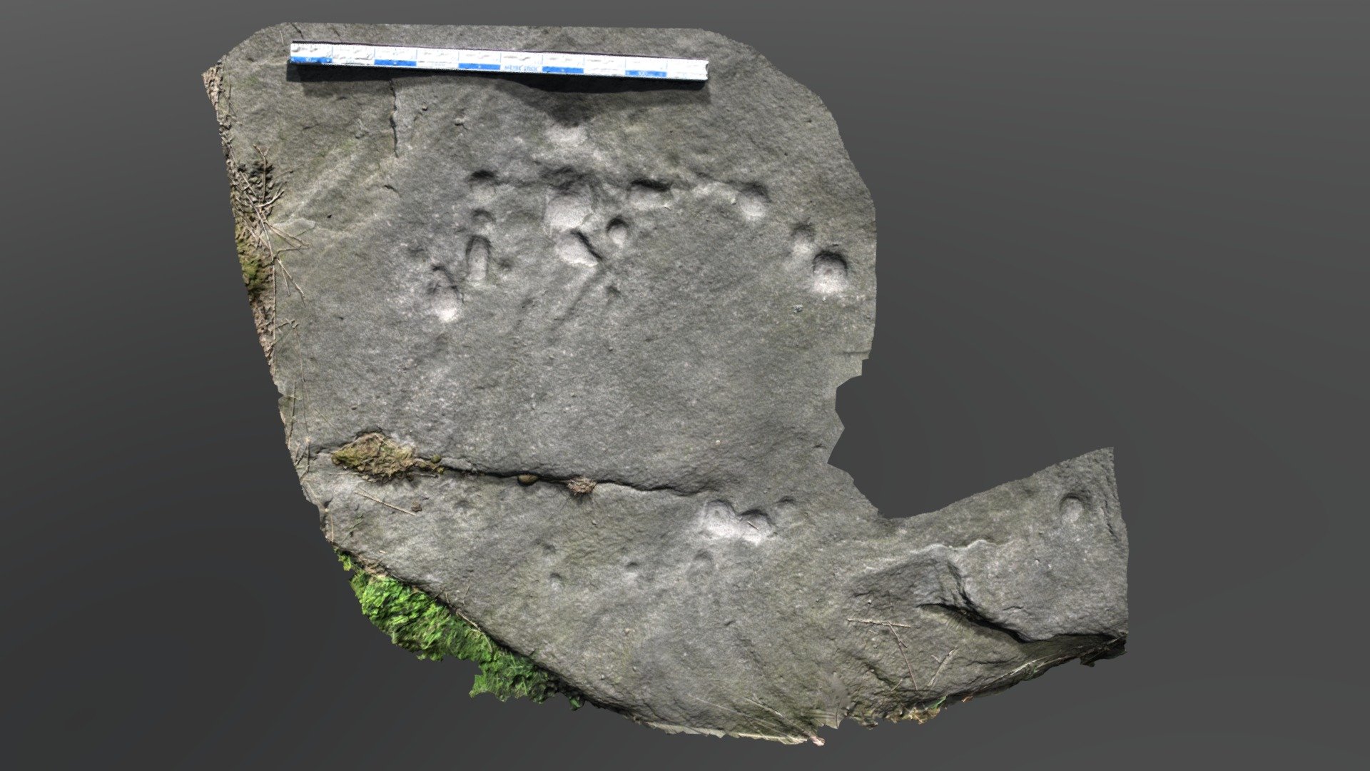 Higher Moor (June 2010) - Download Free 3D model by England's Rock Art ...