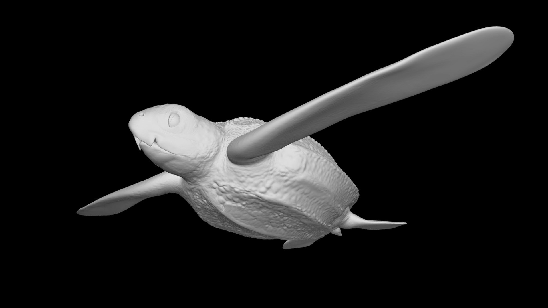 Model 74B - Juvenile Leatherback Sea Turtle Mesh - Download Free 3D ...