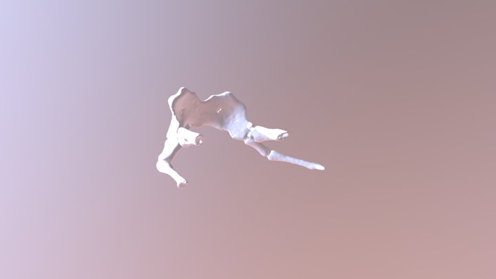 Tarsier 3D models - Sketchfab