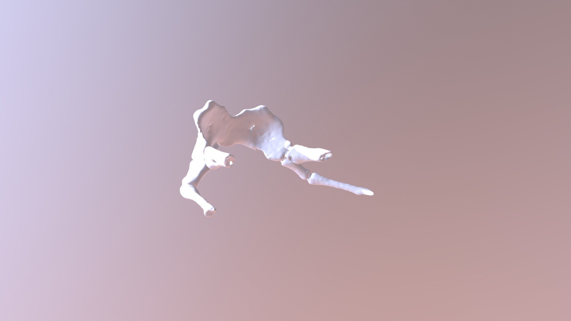 Tarsier Hyoid - Download Free 3D model by rowankatzenmeyer [f60e361 ...