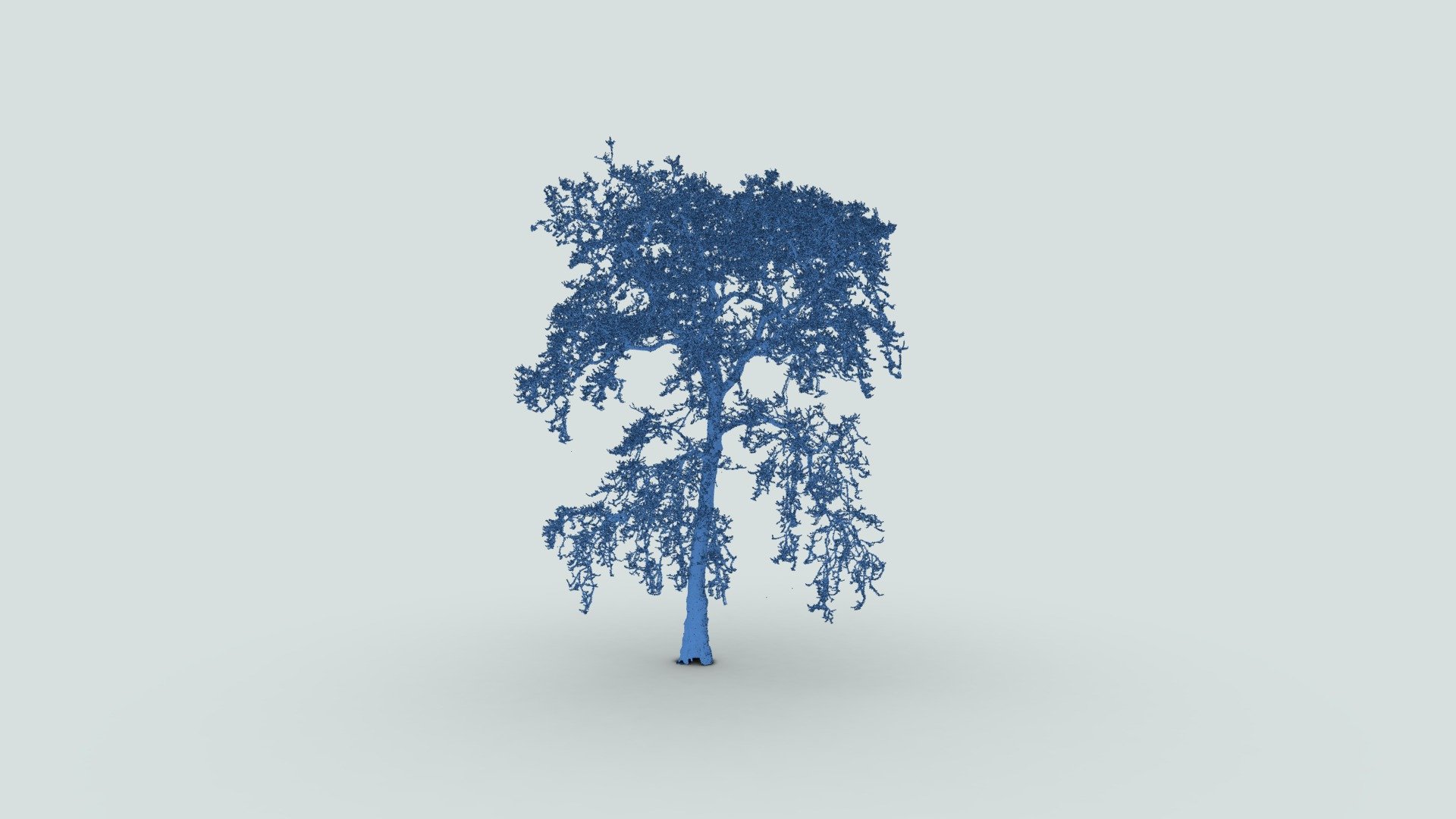 Tree2-segmented-colored - 3D model by JanneDV [f60fc1f] - Sketchfab