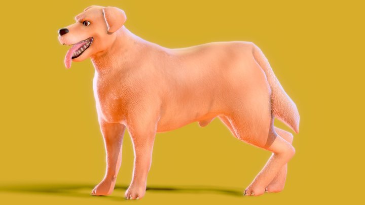 Doge 3D models - Sketchfab