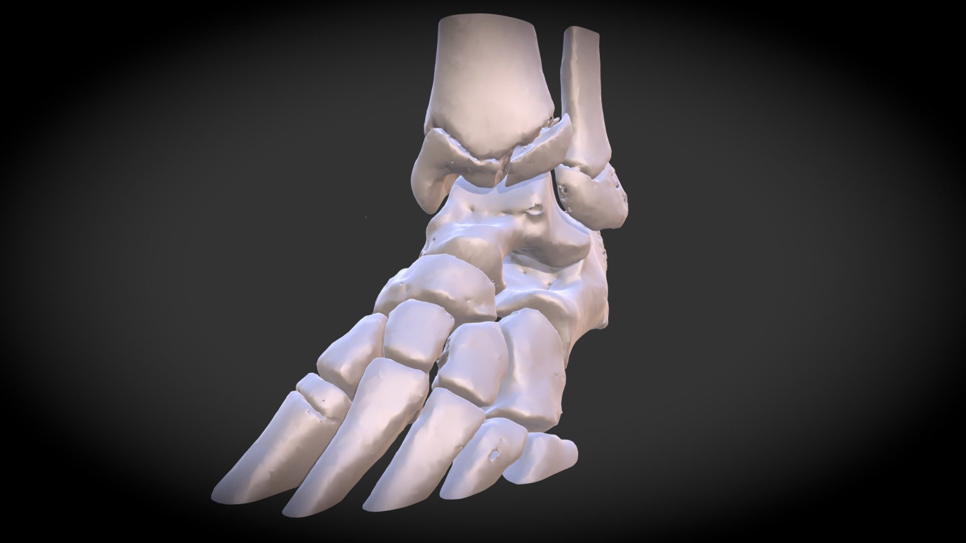 TMH 3 - 3D model by trhong (@tmhong) [f6186f7] - Sketchfab