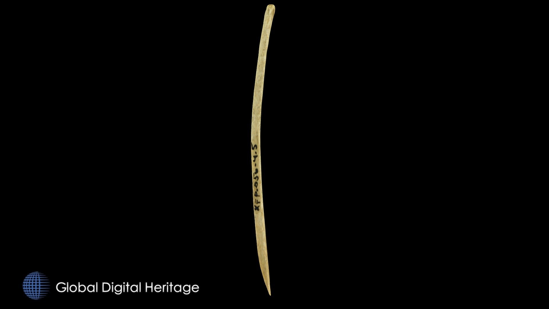 XFP-056 Bird bone awl, Sanak Island, Alaska - Download Free 3D model by ...