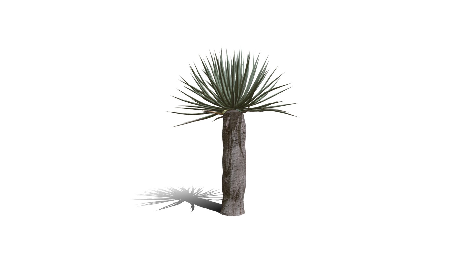 Realistic HD Dragon tree (41/50) - Buy Royalty Free 3D model by ...