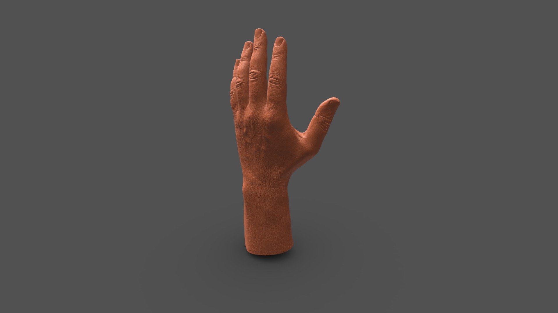Hand_Norm_V_D00_decimated 5M - 3D model by Frank.Zwick (@Frank_Zwick) [f622177] - Sketchfab