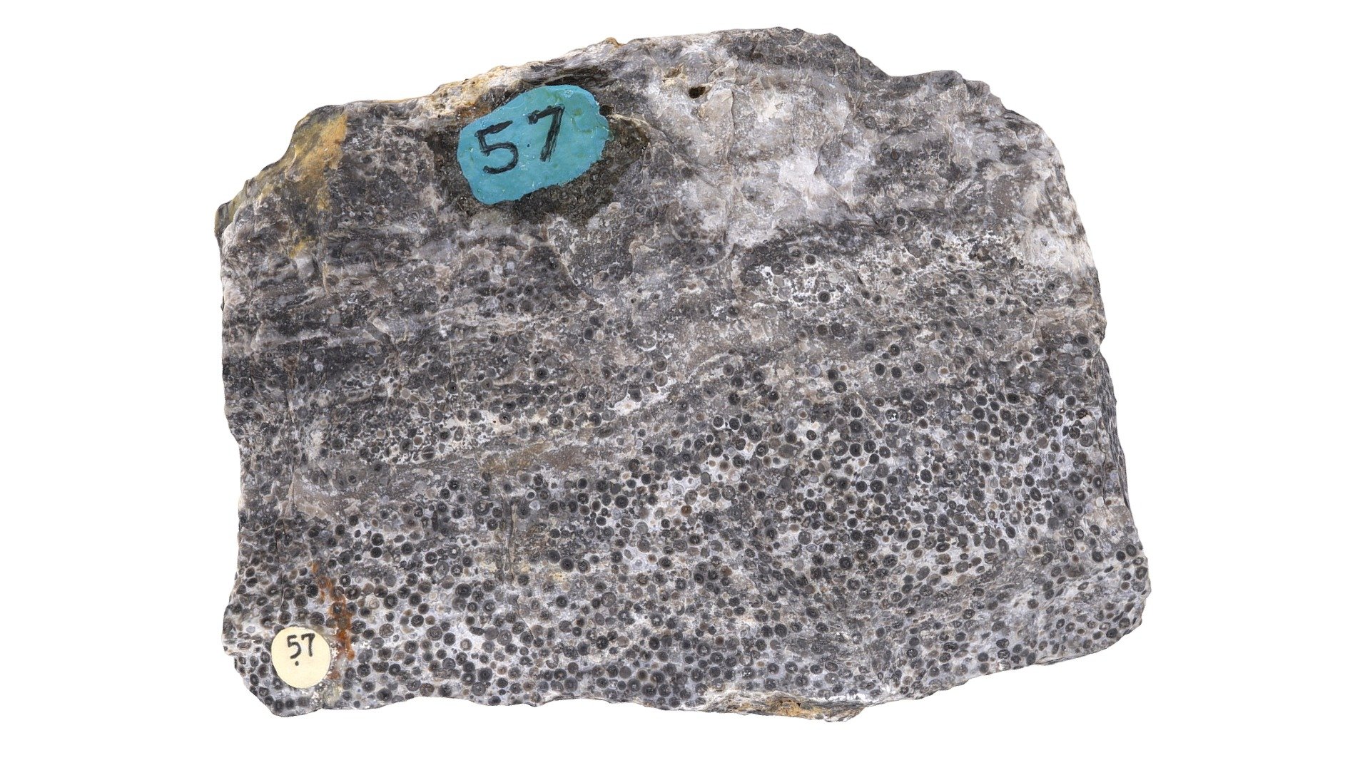 Siliceous oolite #57 05-20-2020 - Download Free 3D model by ...