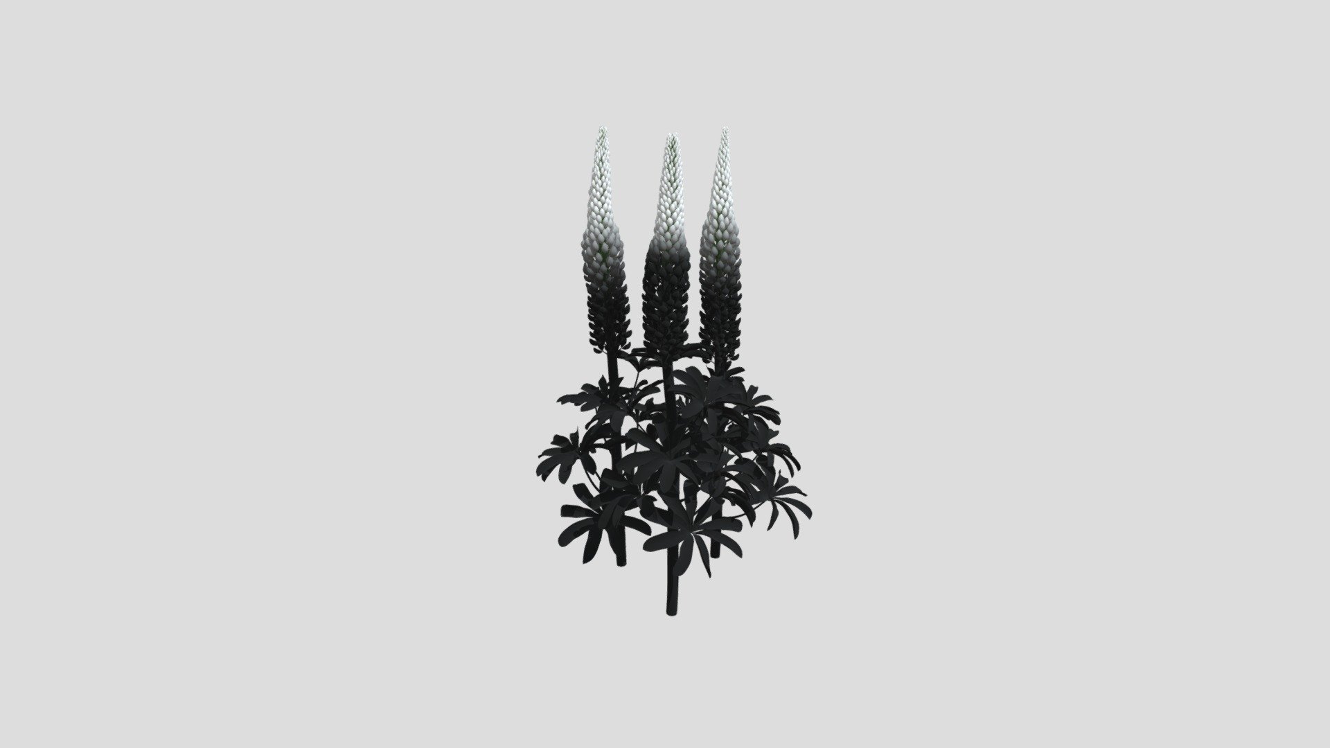 Lupinus 46 AM214 Archmodel - Buy Royalty Free 3D model by Evermotion ...