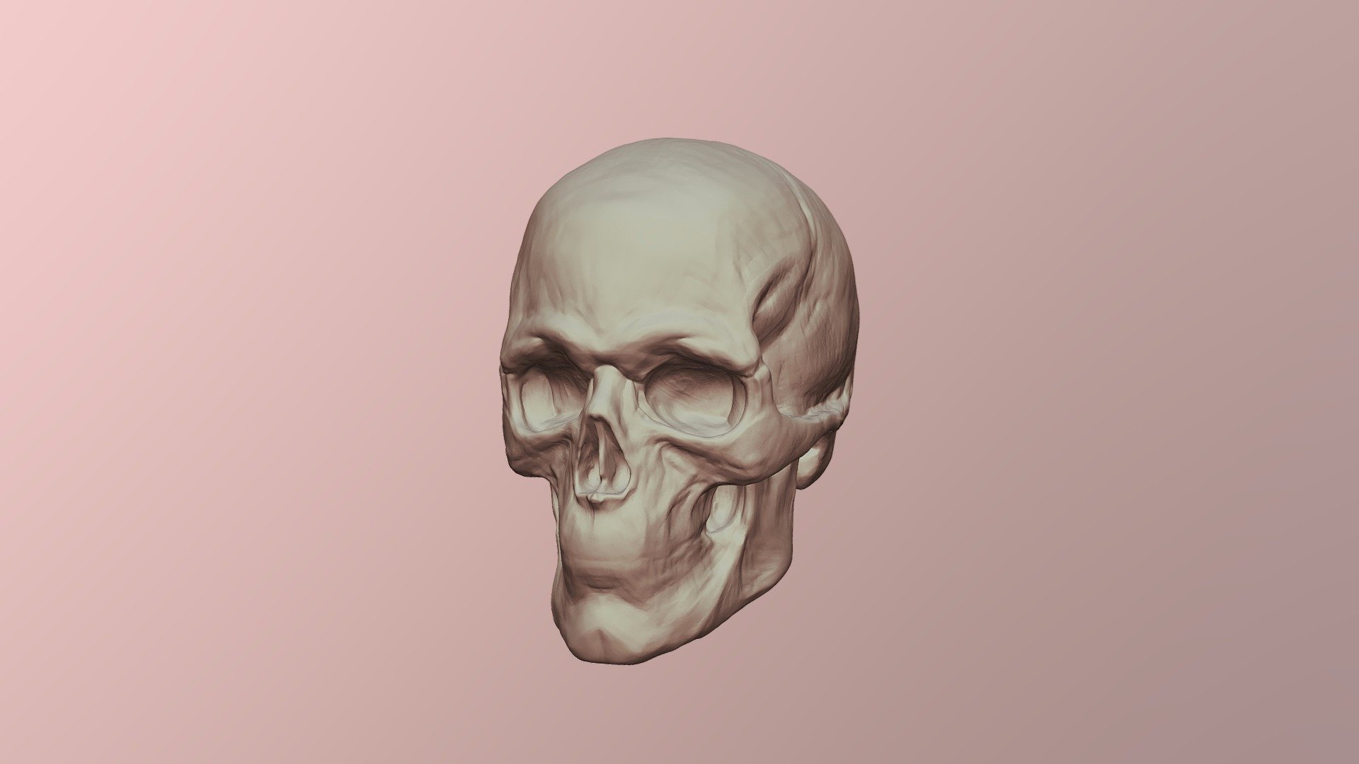 Simplified Skull - More Refined - 3D model by LCAD ZBrush Resources ...