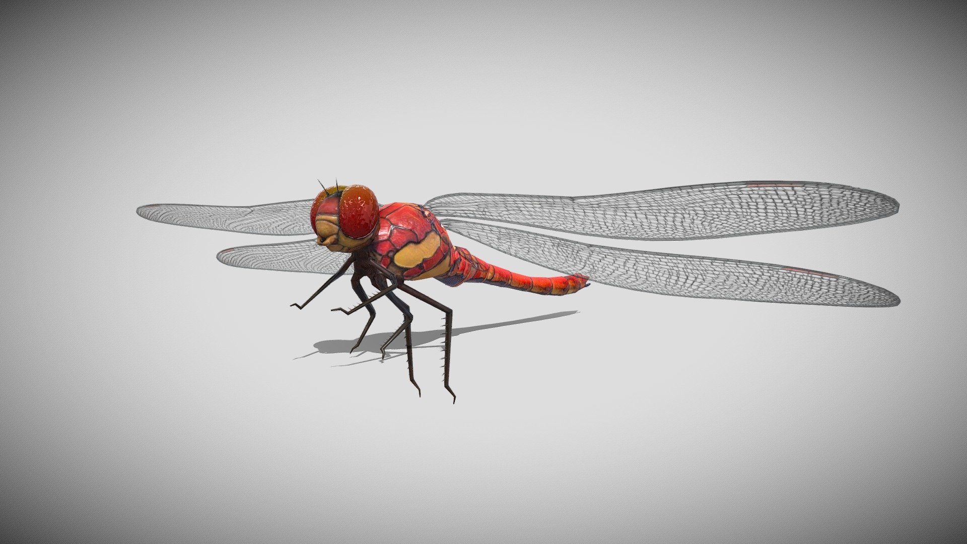 Medhue DragonFly - Buy Royalty Free 3D model by Medhue (@Medhue1) [f635948] - Sketchfab Store