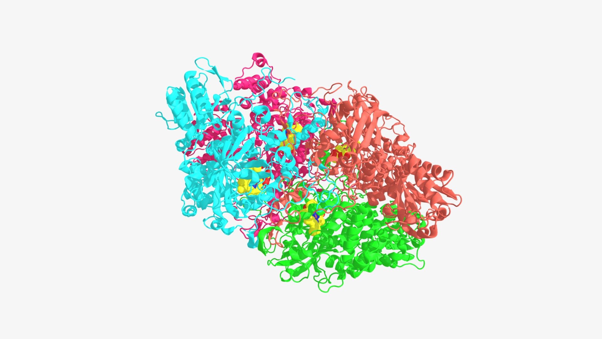 Enzym Catalase - 3D model by superwater [f6482ac] - Sketchfab