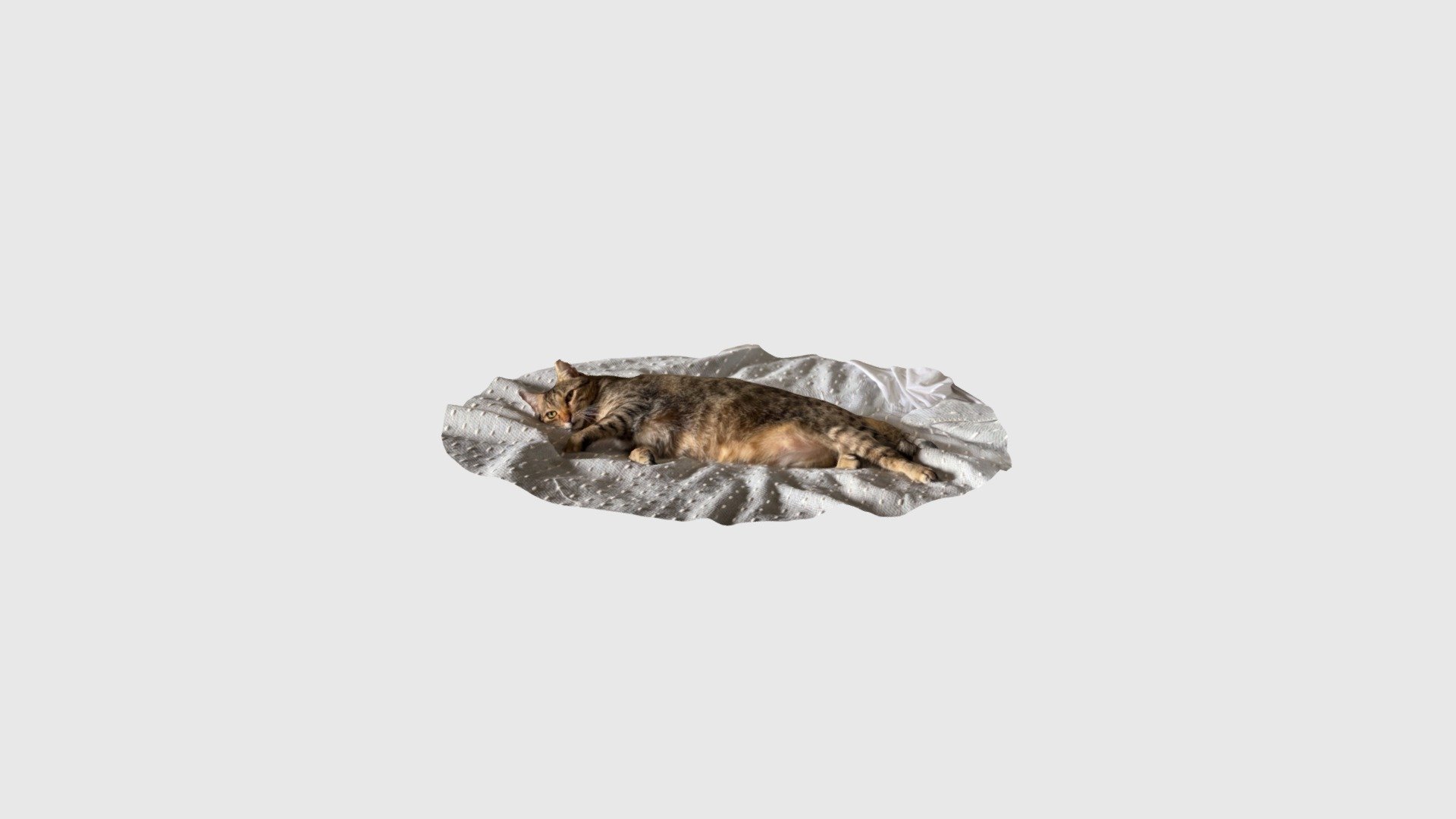 Lounging cat (scan) - Download Free 3D model by CrisBeZz [f64923c ...