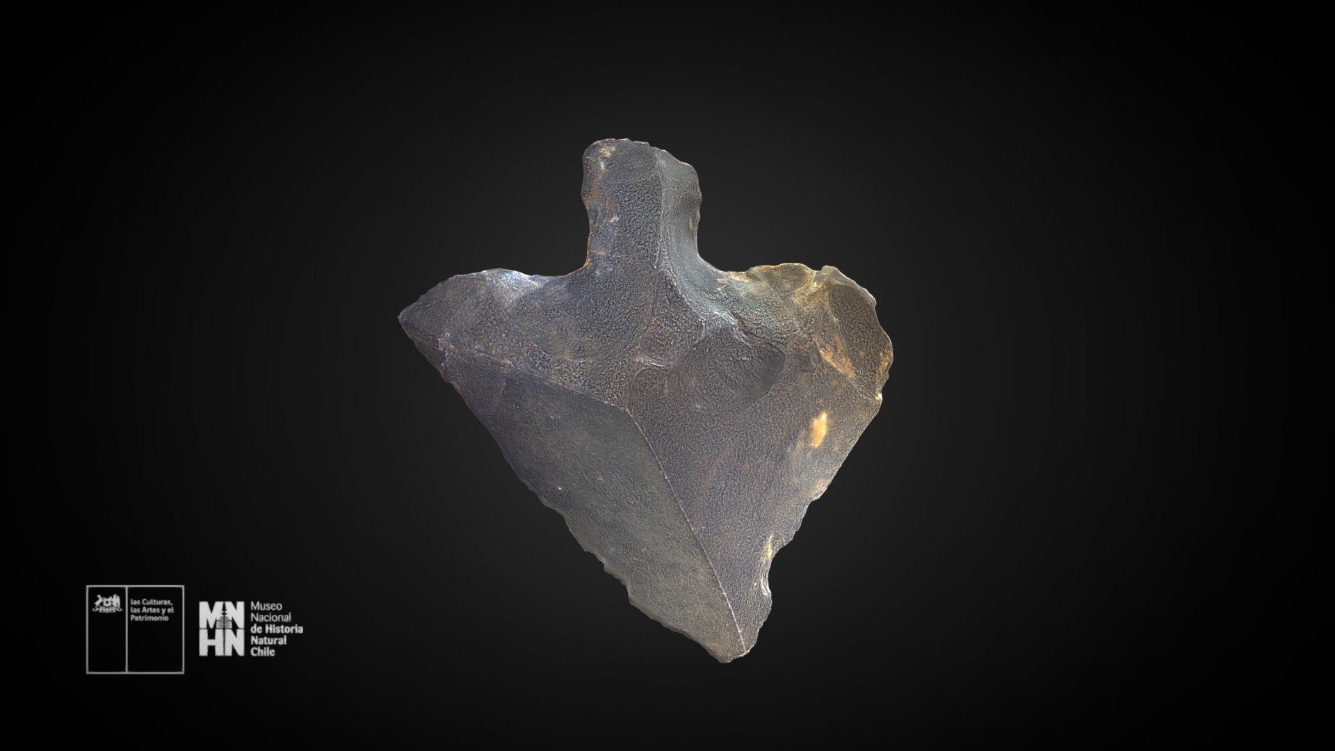 Mata'a de Rapa Nui - Download Free 3D model by Museo Nacional de ...