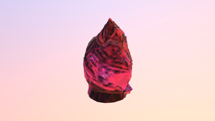 Grounded 3D models - Sketchfab