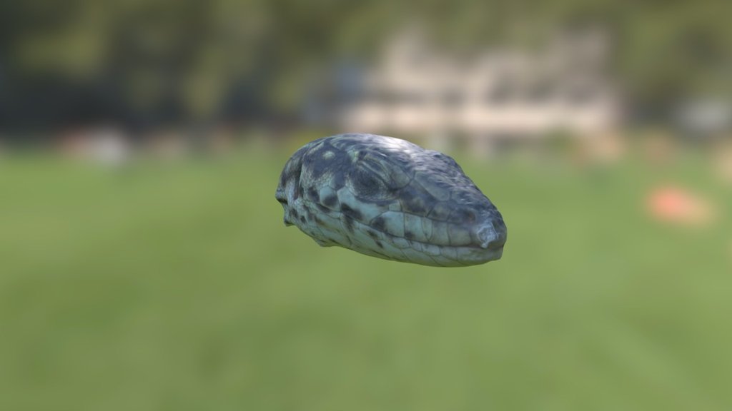 G10 new - 3D model by 3DLab MfNBerlin (@VisLab) [f65b3d1] - Sketchfab