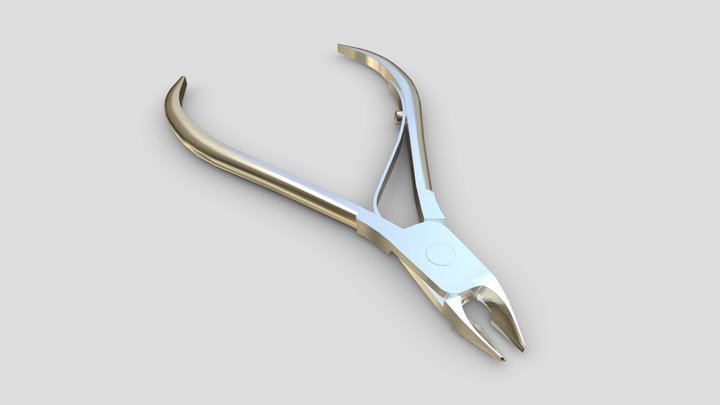 Nipper 3D models - Sketchfab