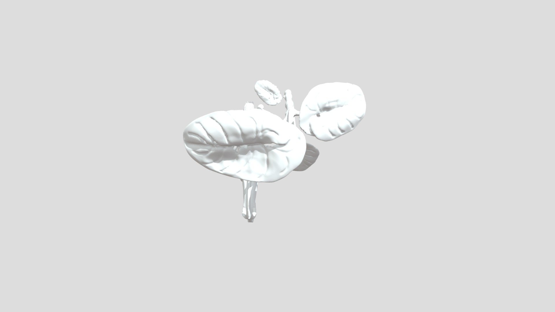 Little Juan - 3D model by gannastartbitingankels [f668af2] - Sketchfab