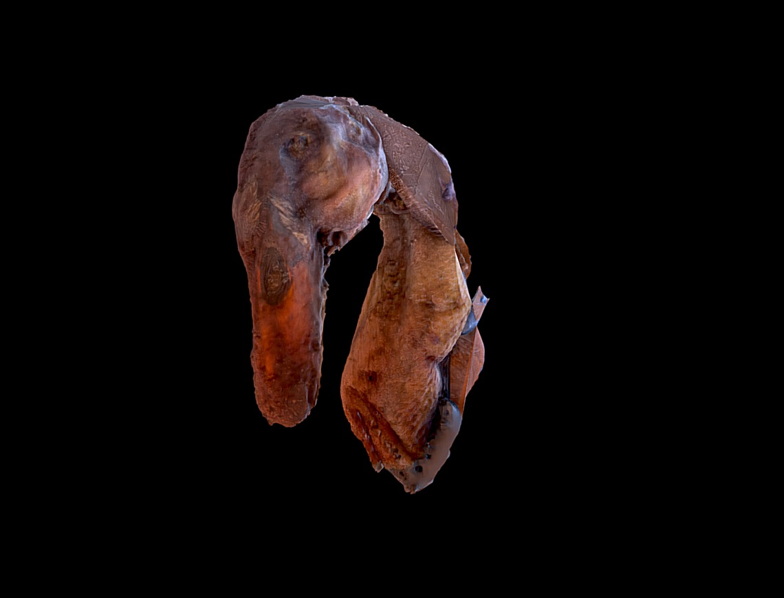 Duck Head - 3D model by tscheer [f670864] - Sketchfab
