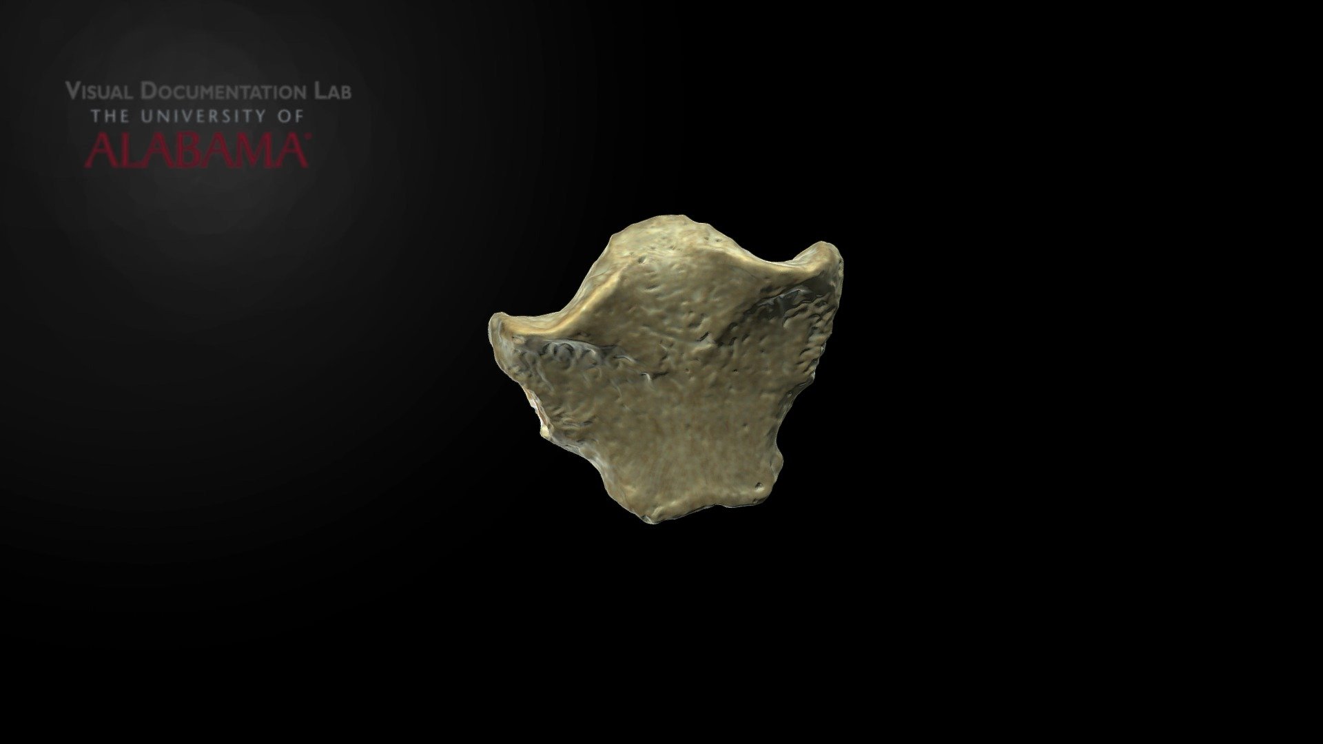 Test 300 mm FOV, XY 0.18mm (2) - 3D model by Alexandre Tokovinine ...