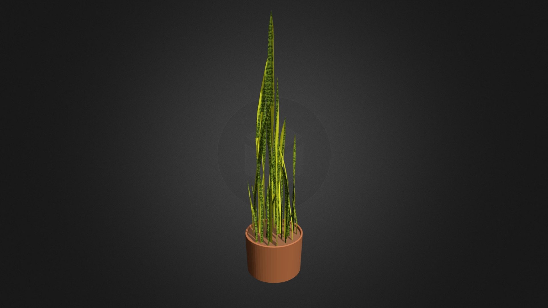 Snake Plant - Download Free 3D model by ethanelmore [f688eb8] - Sketchfab
