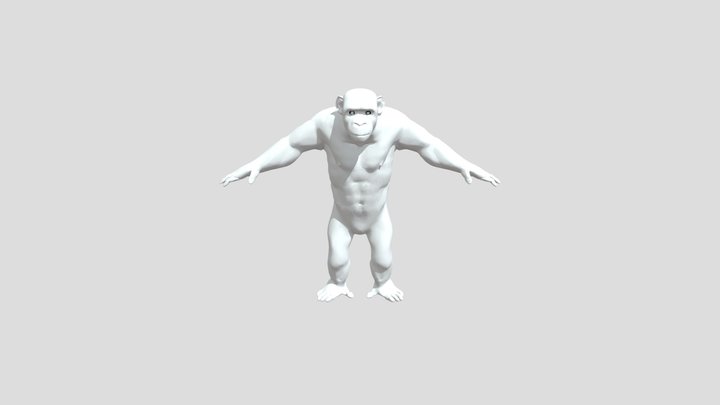 Chimpanzee 3D models - Sketchfab